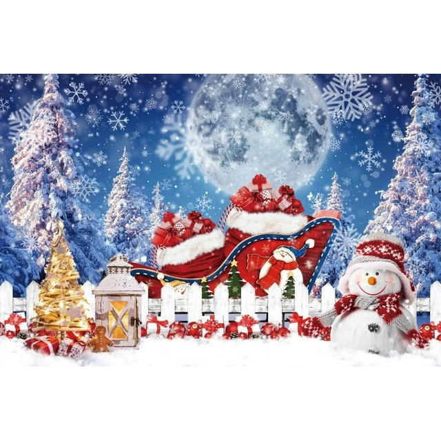 Winter Wonderland Christmas Backdrop Winter Snowflakes Glitter Sparkle Bokeh Baby Kid Birthday ...