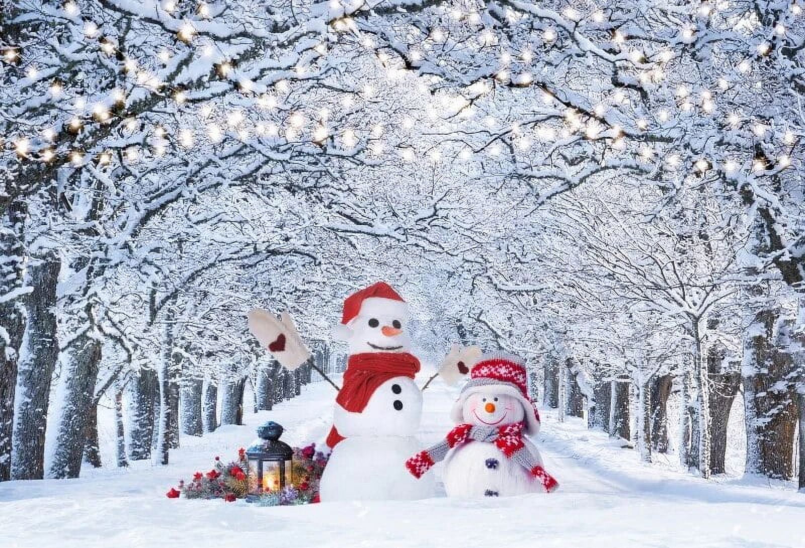 Winter Wonderland Christmas Backdrop Winter Snowflakes Glitter Sparkle ...