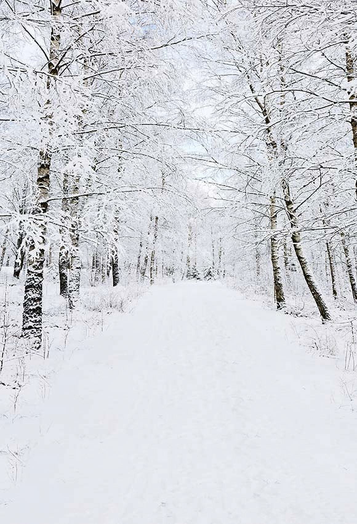 Winter Wonderland Forest Pine Tree White Snowflake Baby Shower Birthday ...