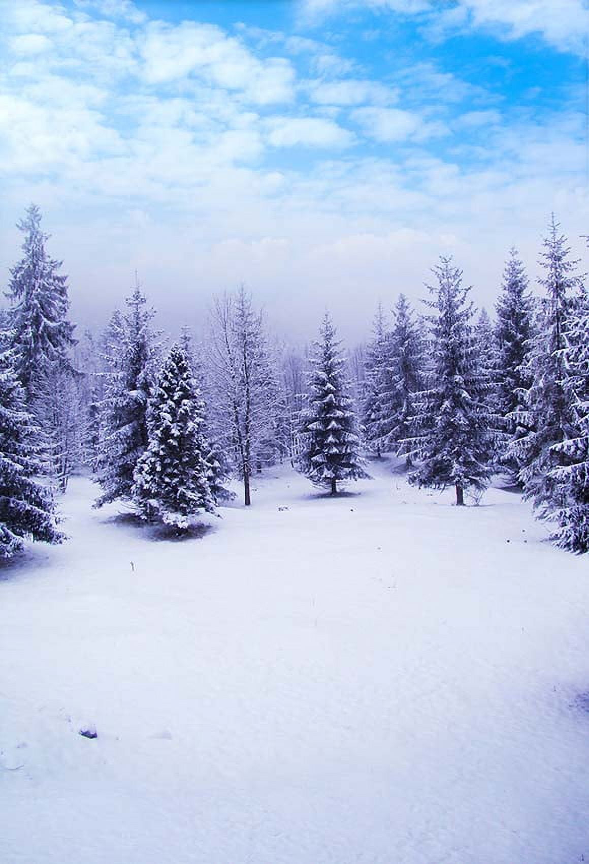 Winter Wonderland Forest Pine Tree White Snowflake Baby Shower Birthday ...