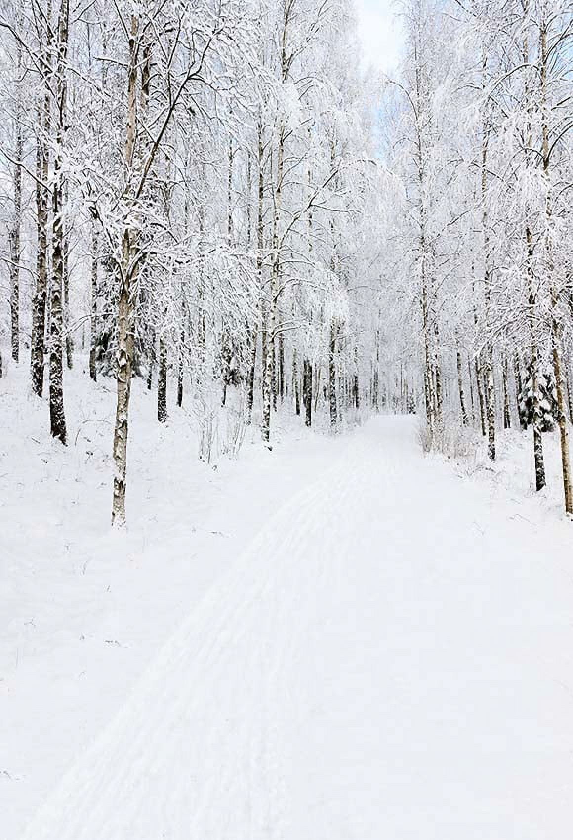 Winter Wonderland Forest Pine Tree White Snowflake Baby Shower Birthday ...