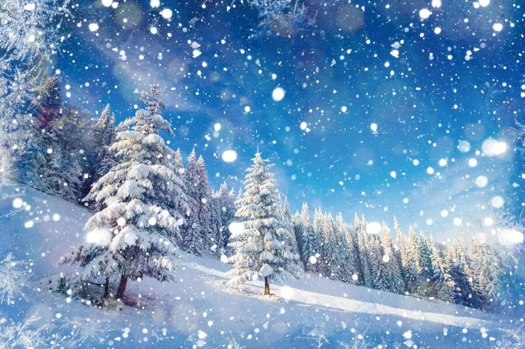 Winter Wonderland Snow Forest Mountain Natural Landscape Backdrop Kid ...