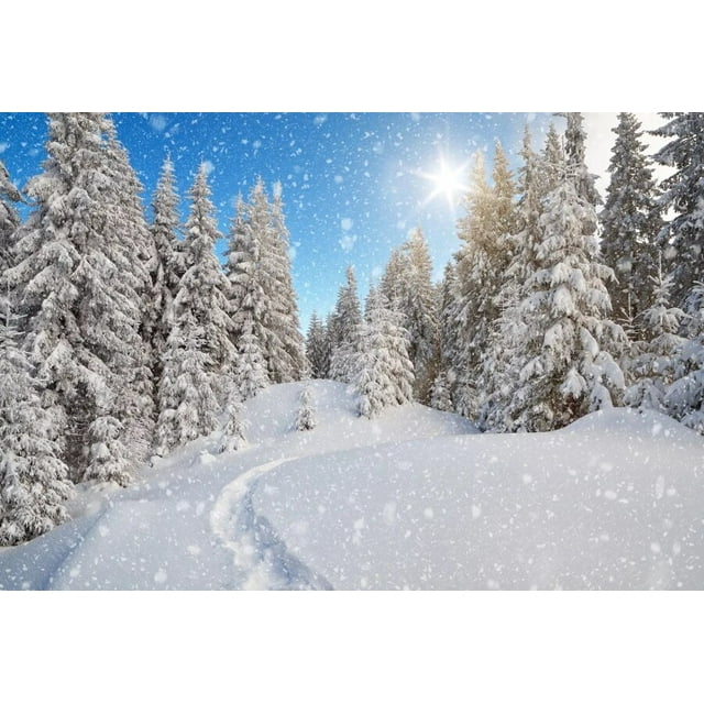 Winter Wonderland Snow Forest Mountain Natural Landscape Backdrop Kid ...