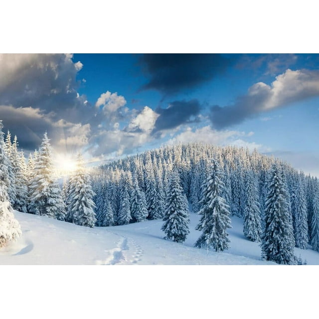 Winter Wonderland Snow Forest Mountain Natural Landscape Backdrop Kid ...