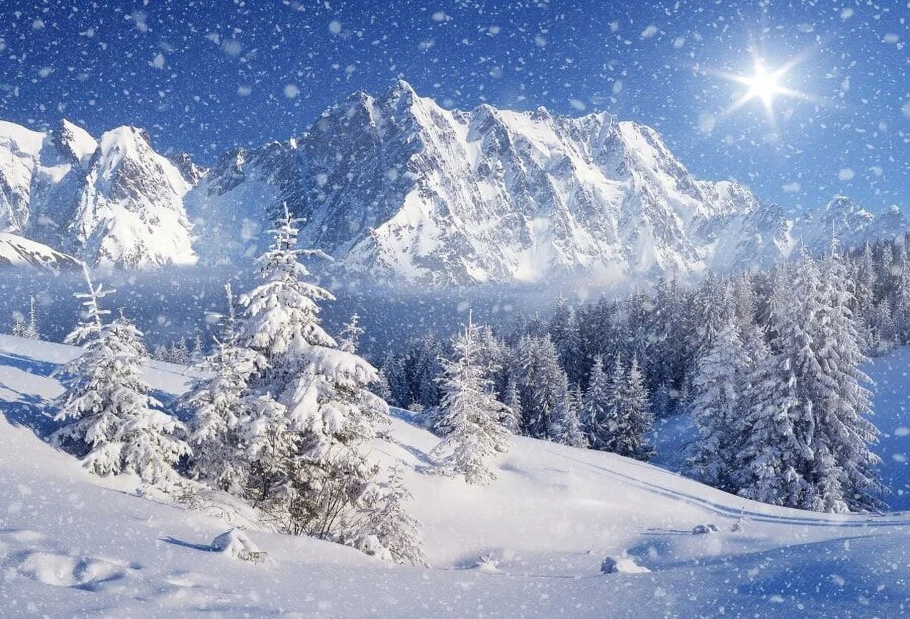Winter Wonderland Snow Forest Mountain Natural Landscape Backdrop Kid ...