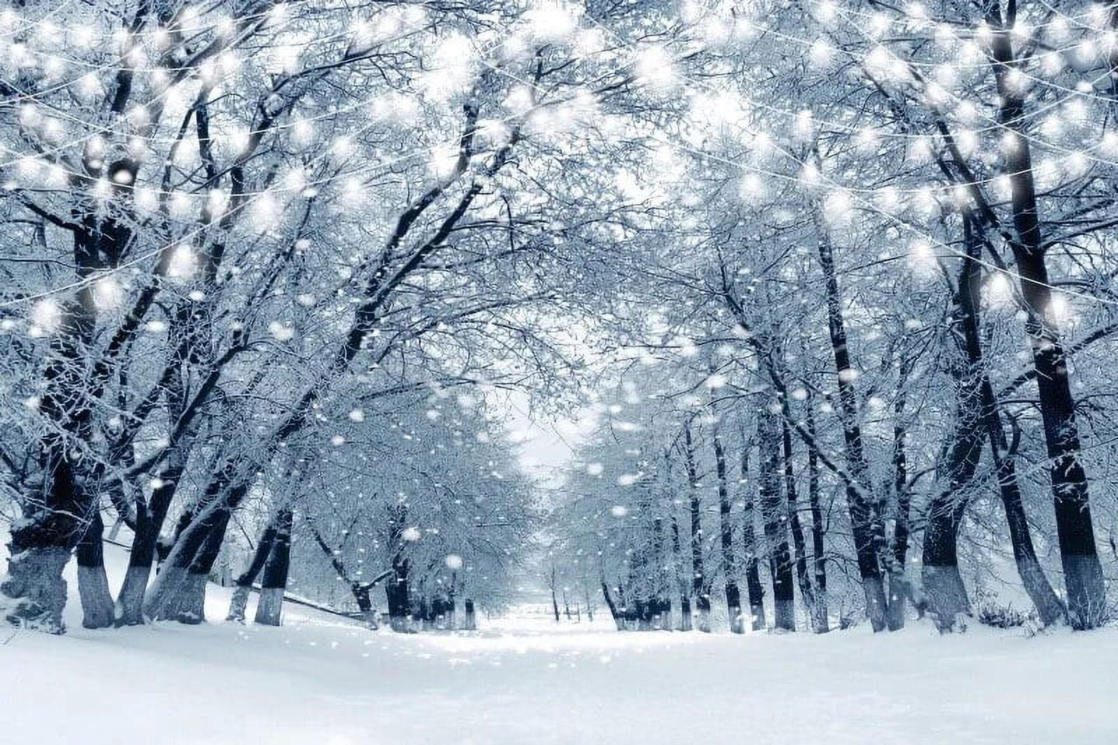 Winter Wonderland Snow Forest Mountain Natural Landscape Backdrop Kid ...