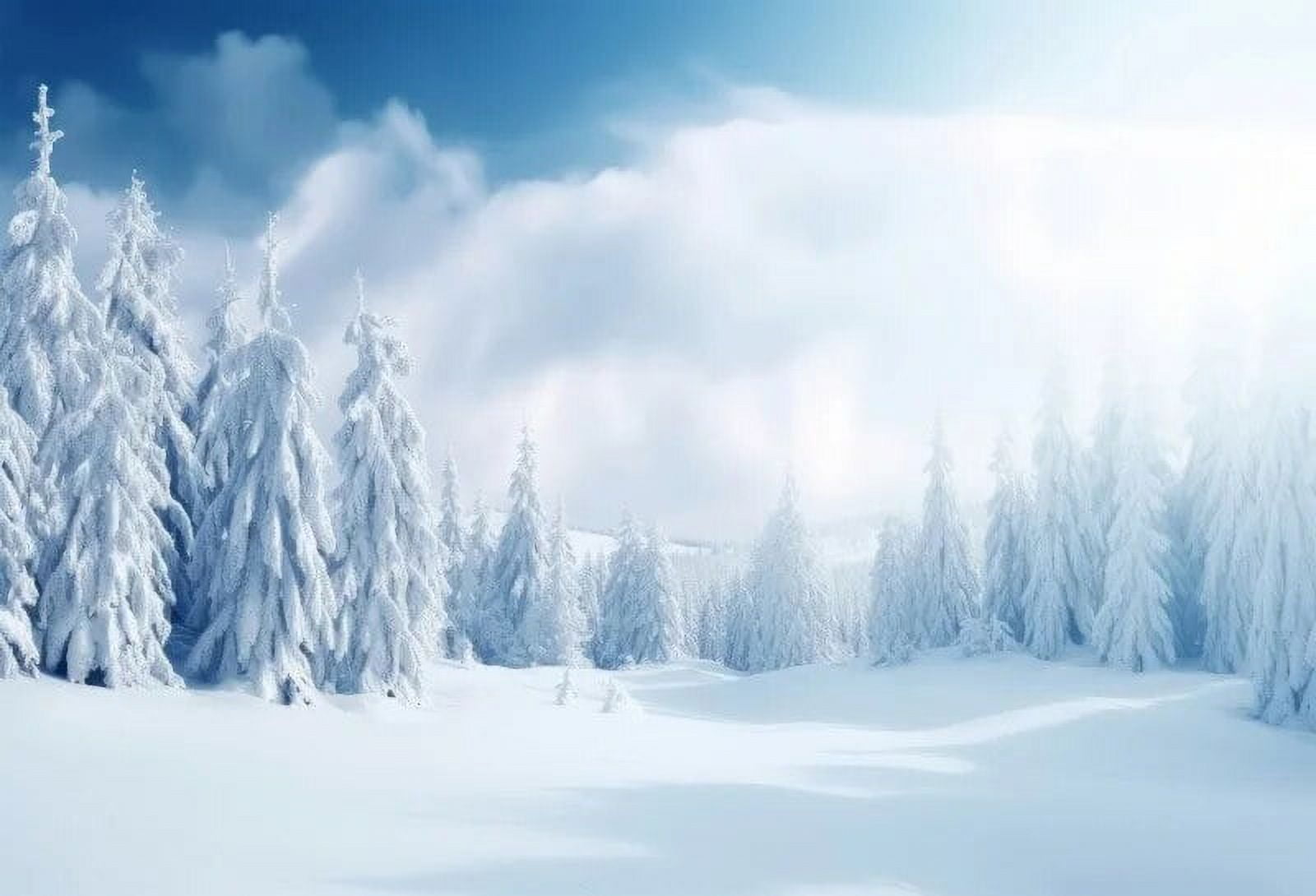 Winter Wonderland Snow Forest Mountain Natural Landscape Backdrop Kid ...
