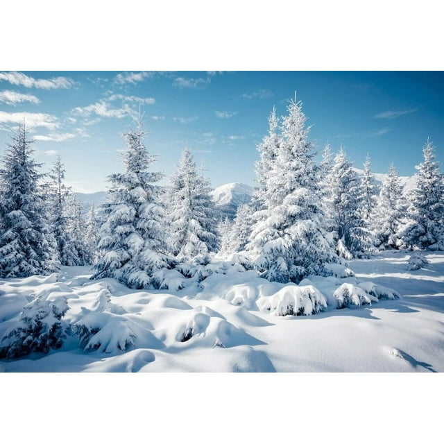 Winter Wonderland Snow Forest Mountain Natural Landscape Backdrop Kid ...