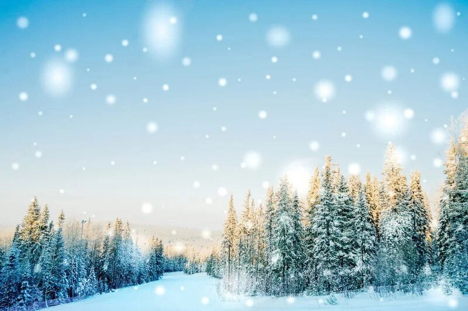 Winter Wonderland Snow Forest Mountain Natural Landscape Backdrop Kid ...