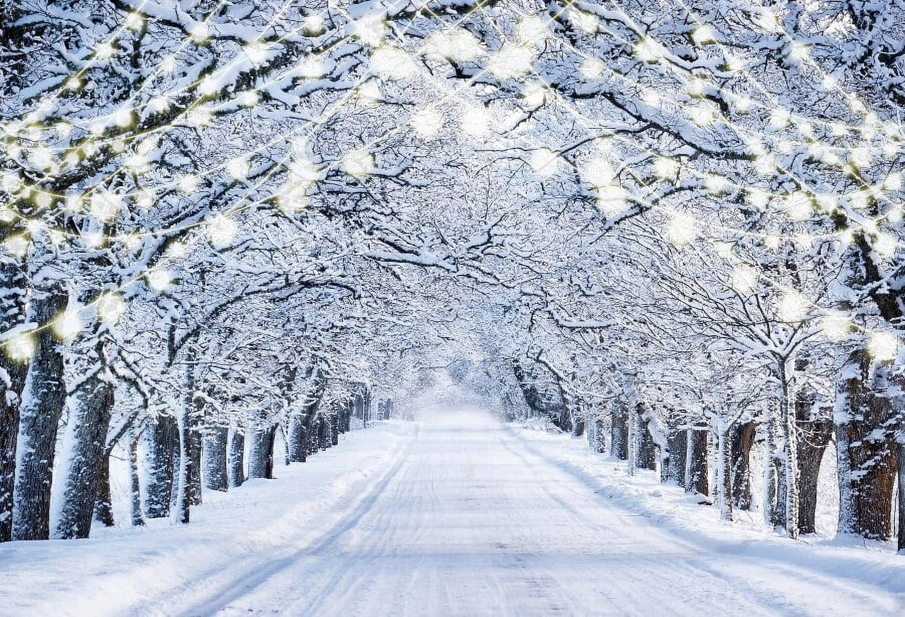 Winter Wonderland Snow Forest Mountain Natural Landscape Backdrop Kid ...