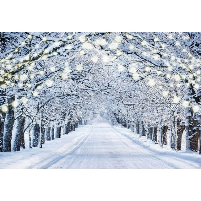 Winter Wonderland Snow Forest Mountain Natural Landscape Backdrop Kid ...