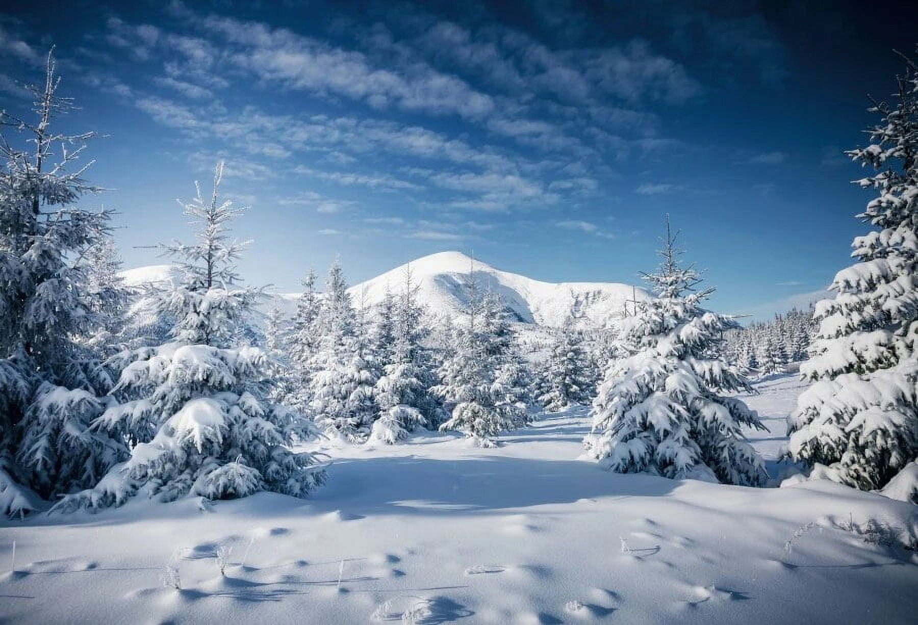 Winter Wonderland Snow Forest Mountain Natural Landscape Backdrop Kid ...