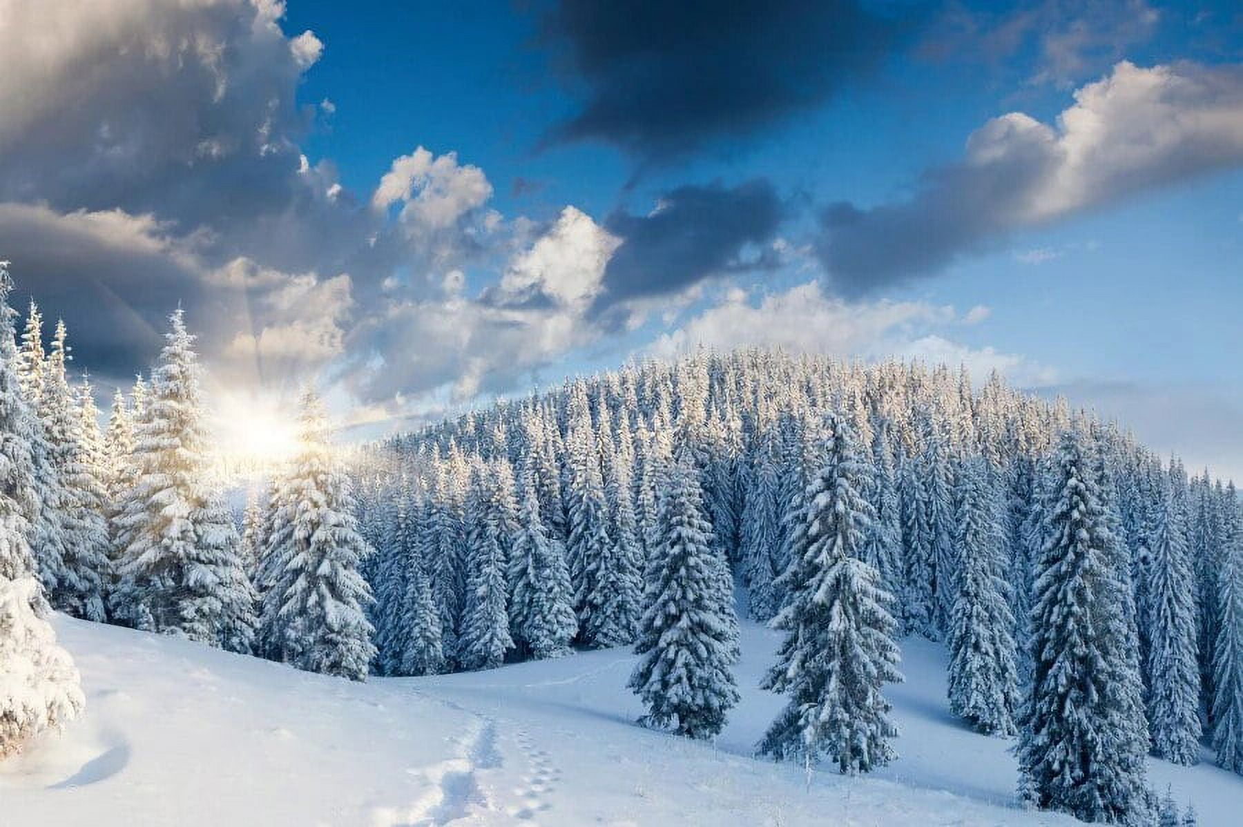 Winter Wonderland Snow Forest Mountain Natural Landscape Backdrop Kid ...
