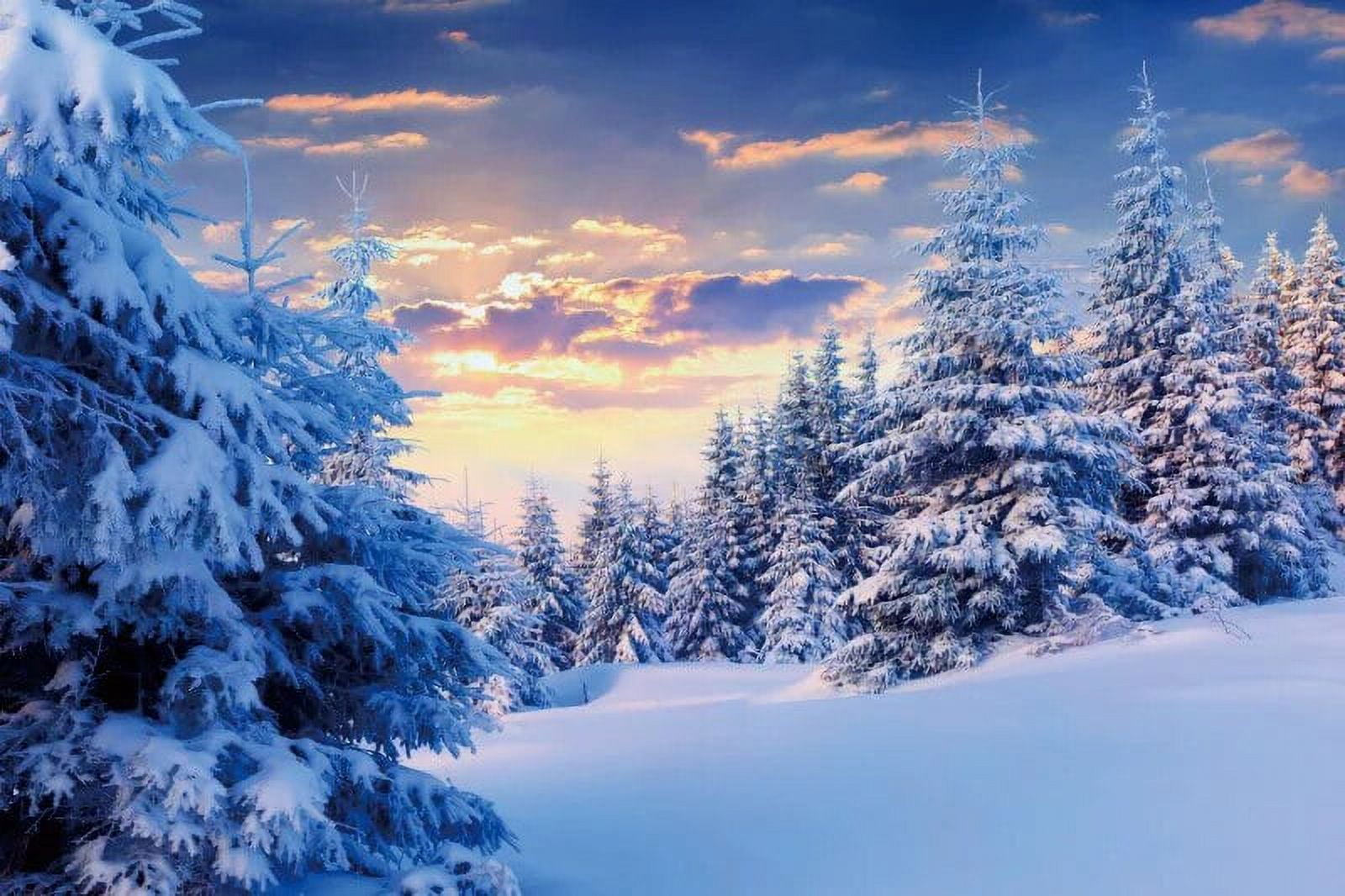 Winter Wonderland Snow Forest Mountain Natural Landscape Backdrop Kid ...