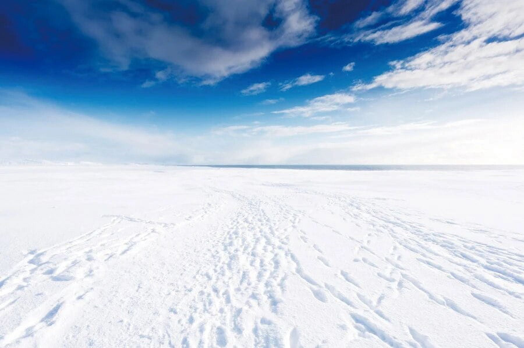 Winter Wonderland Snowfield Backdrop White Snowflakes Cloud Blue Sky ...