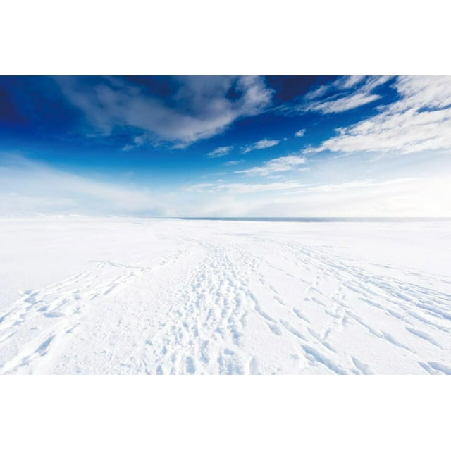 Winter Wonderland Snowfield Backdrop White Snowflakes Cloud Blue Sky ...
