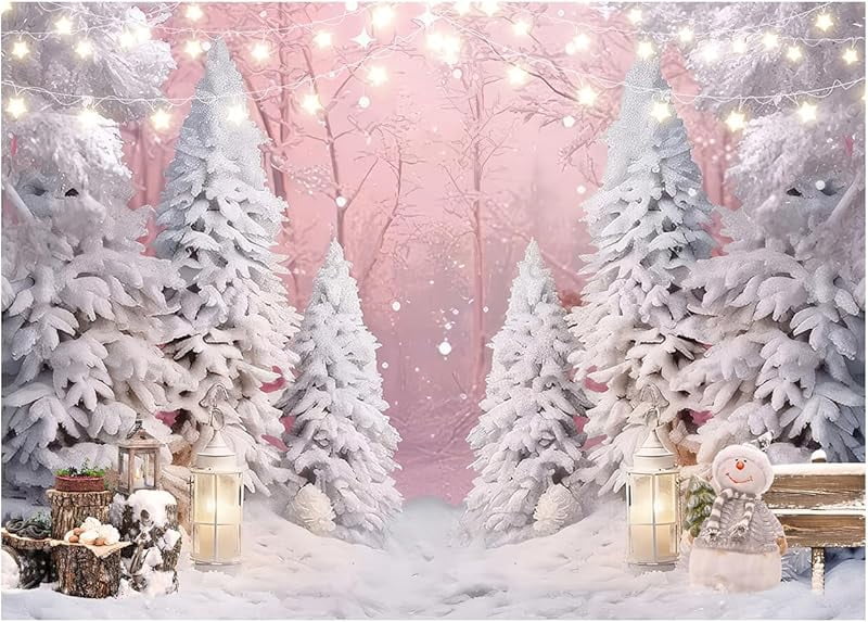 Winter backdrop winter scene backdrop winter photo backdrop snow ...