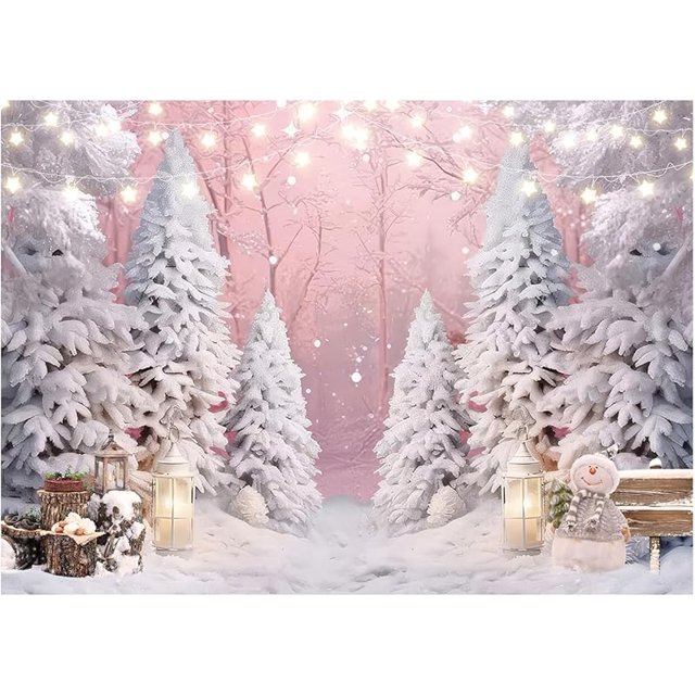 Winter backdrop winter scene backdrop winter photo backdrop snow ...