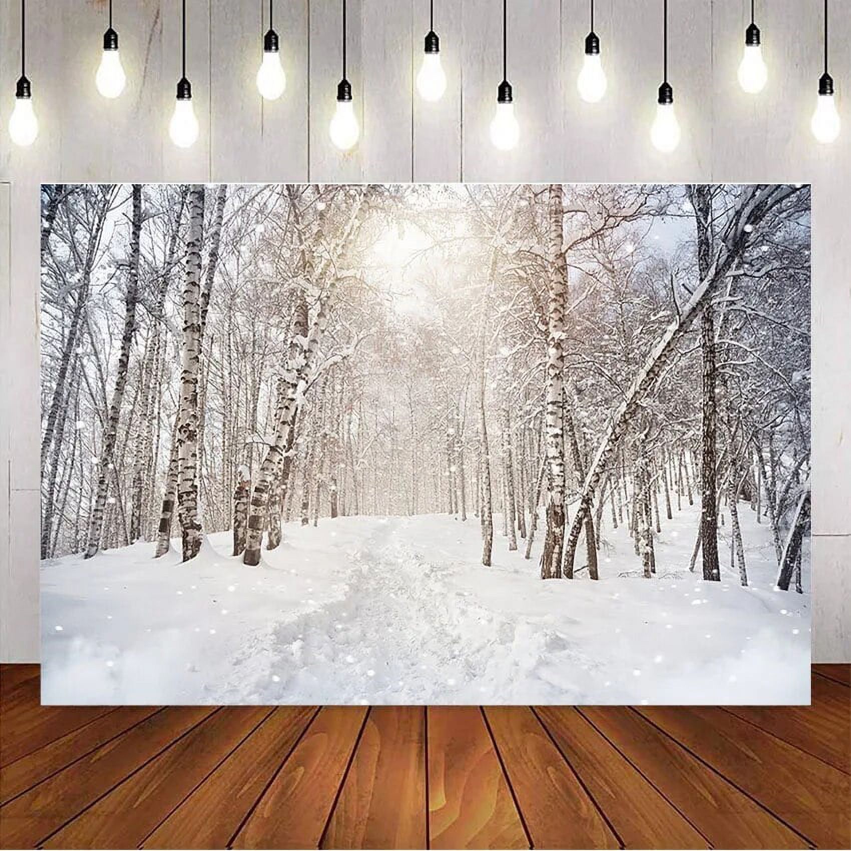 Winter forest snow floor backdrop for photography portrait photo shoot ...
