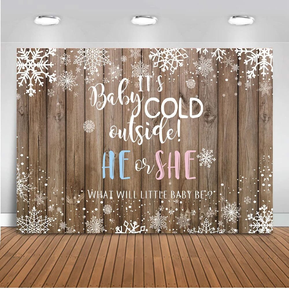 Winter gender reveal background for photography snowflake backdrop for ...