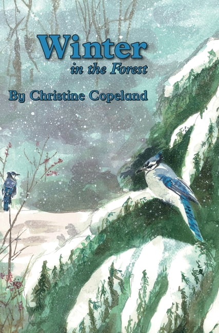 Winter in the Forest: A Seasons in the Forest Book - Walmart.com