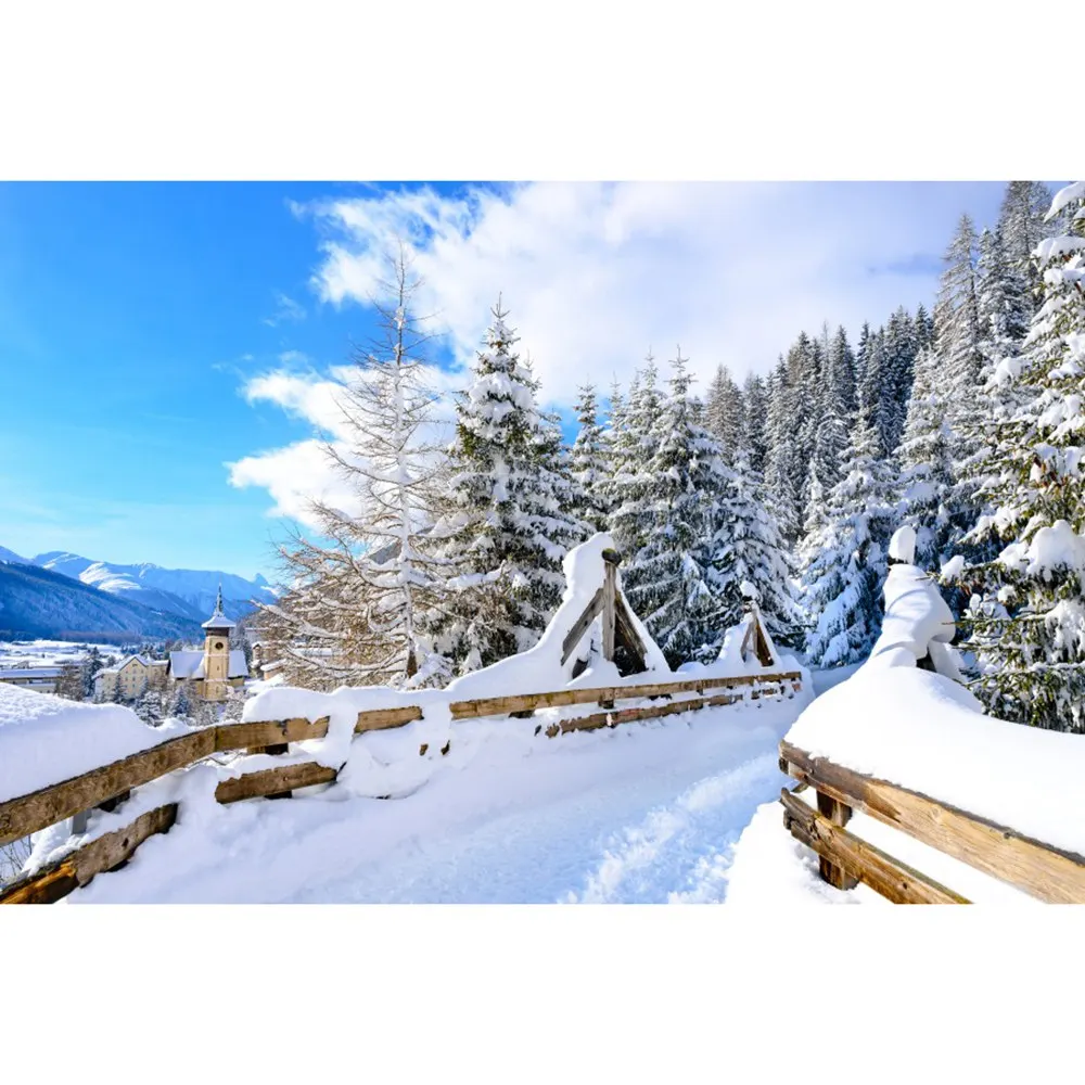 Winter ration Photography Backdrops Custom Snow Forest Skiing Field ...