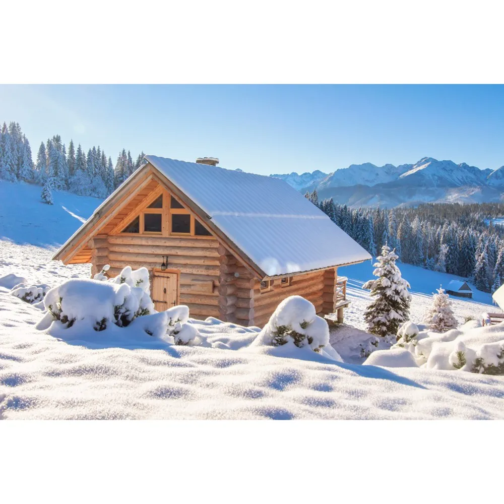 Winter ration Photography Backdrops Custom Snow Forest Skiing Field ...