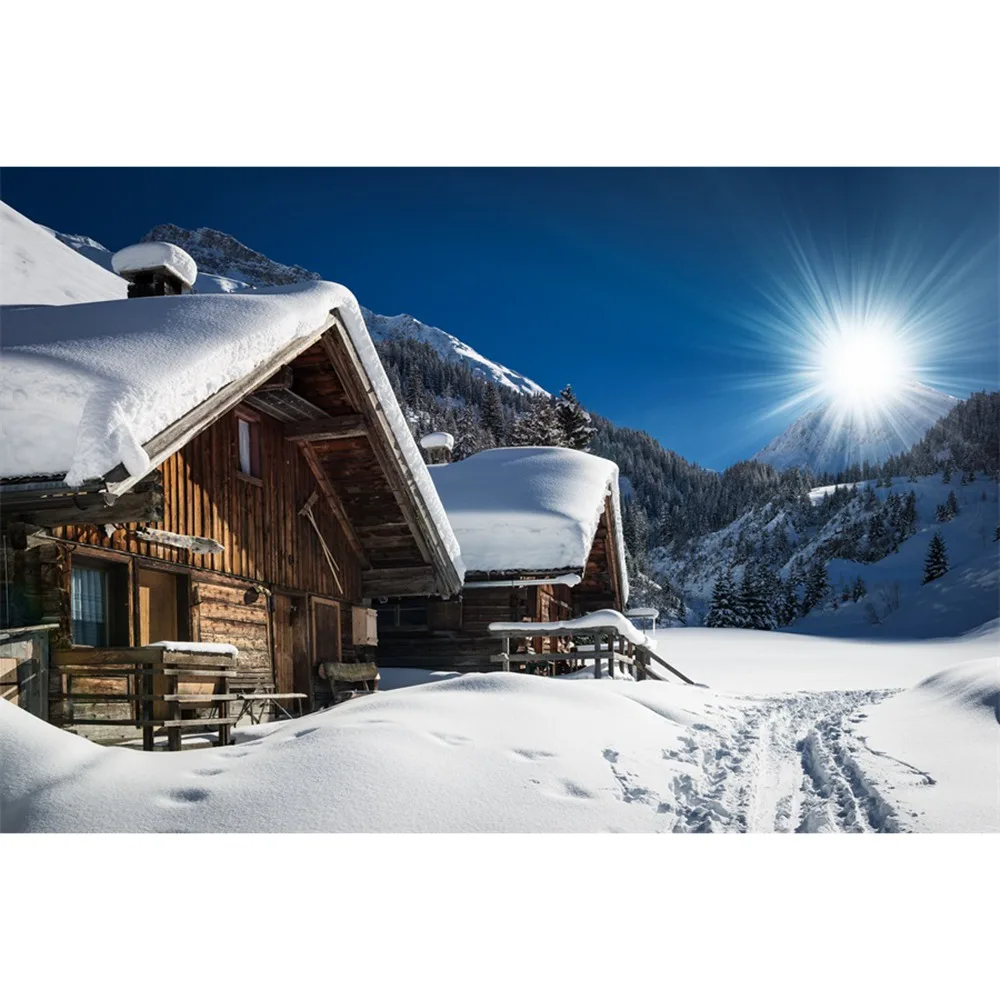 Winter ration Photography Backdrops Custom Snow Forest Skiing Field ...