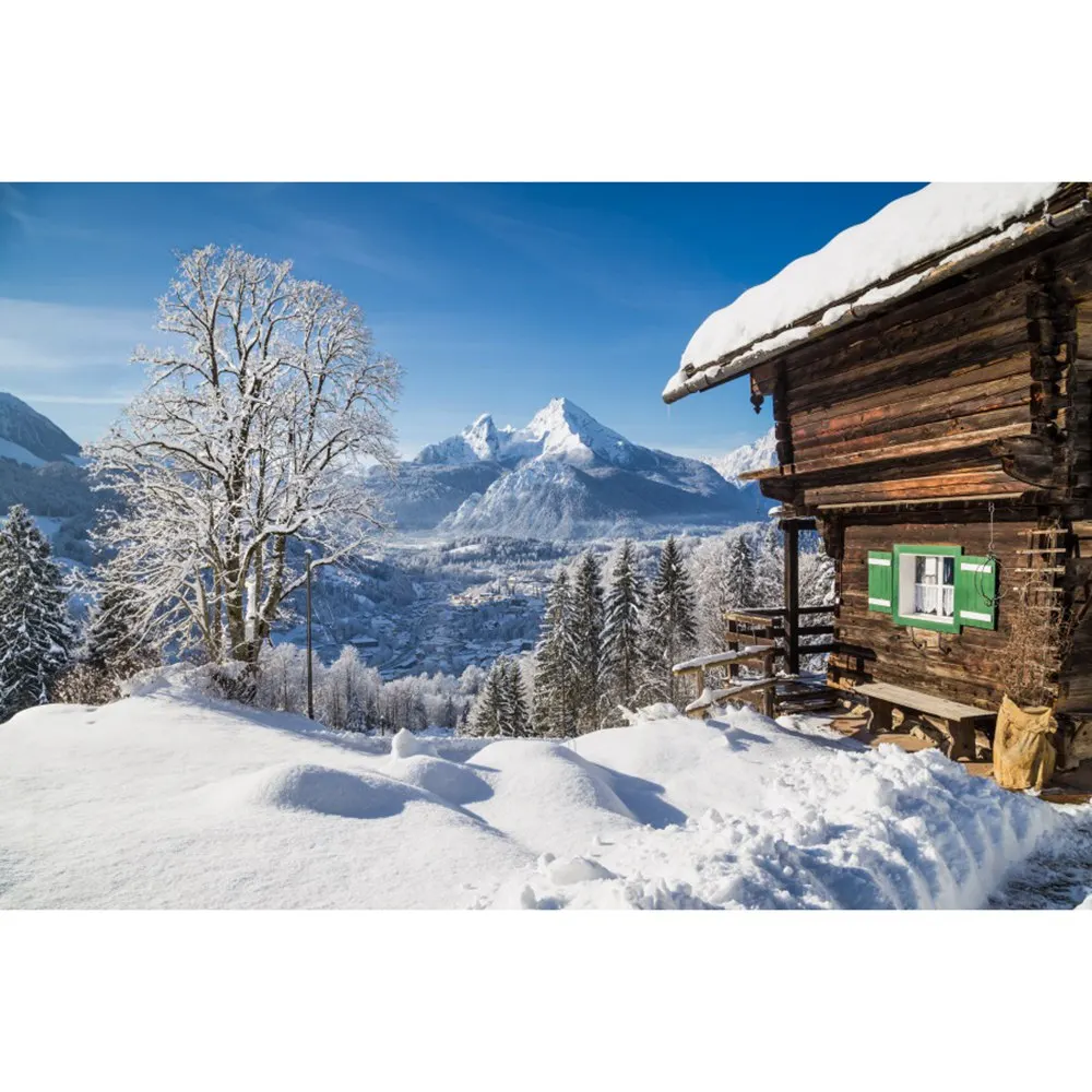 Winter ration Photography Backdrops Custom Snow Forest Skiing Field ...