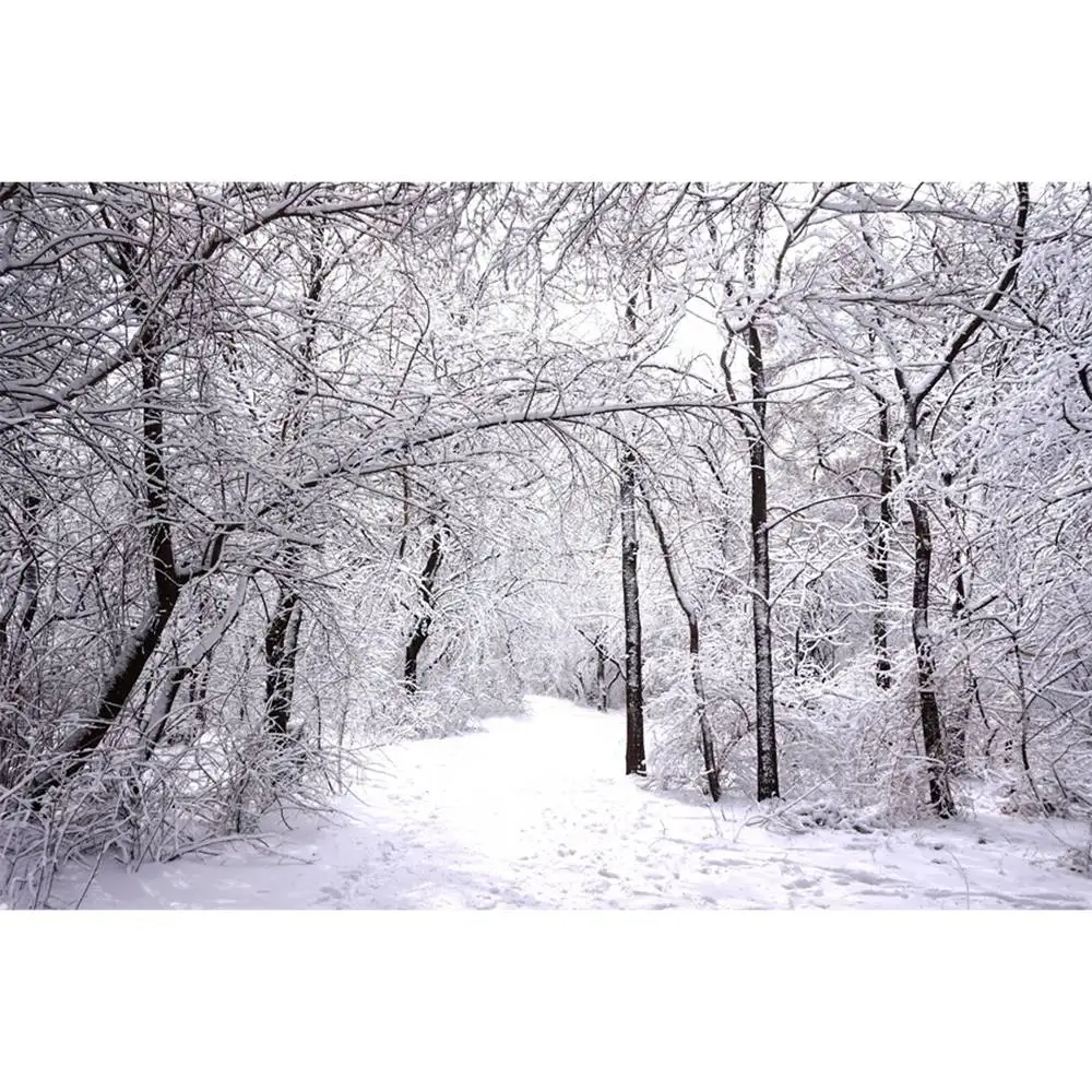 Winter ration Photography Backdrops Custom Snow Forest Skiing Field ...