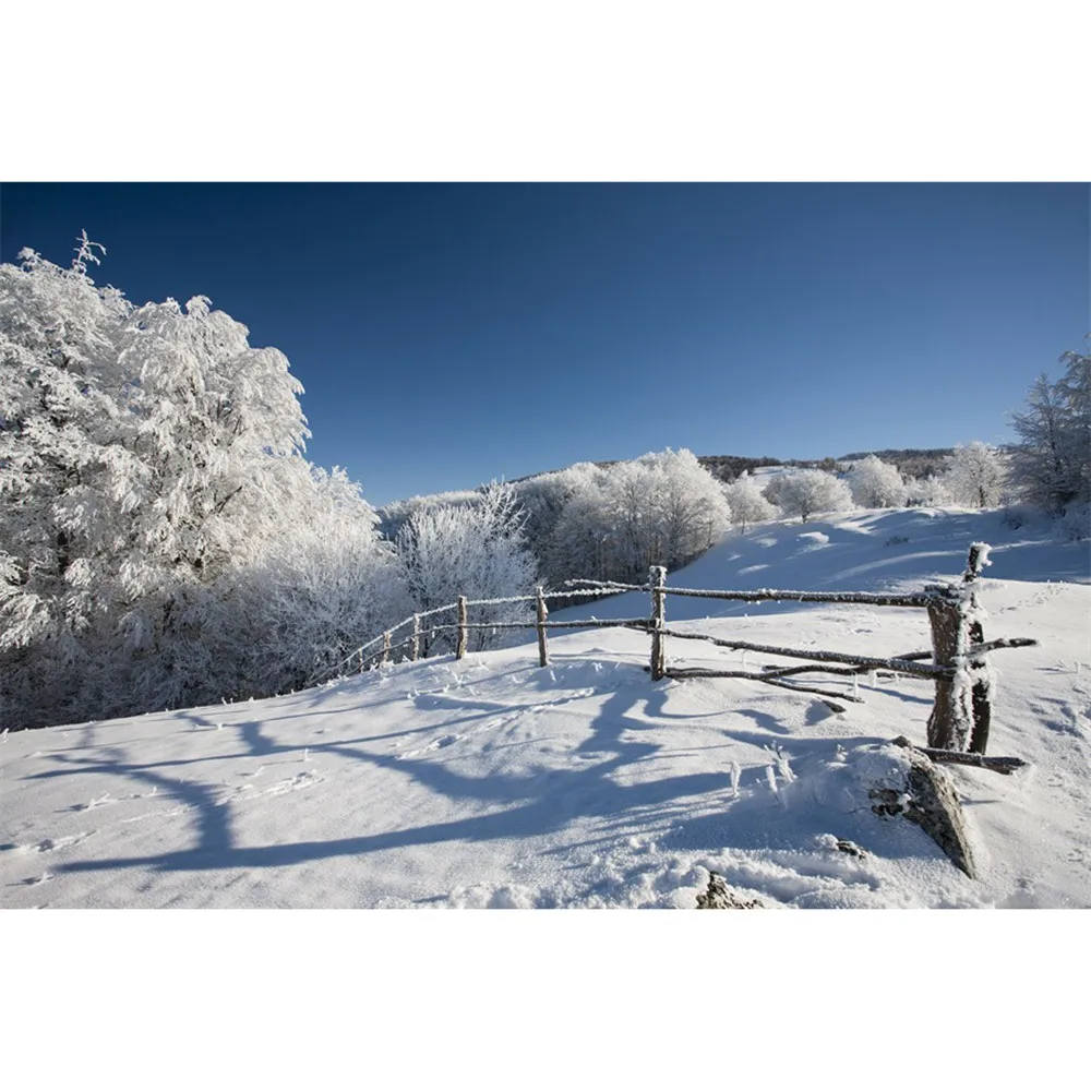 Winter ration Photography Backdrops Custom Snow Forest Skiing Field ...