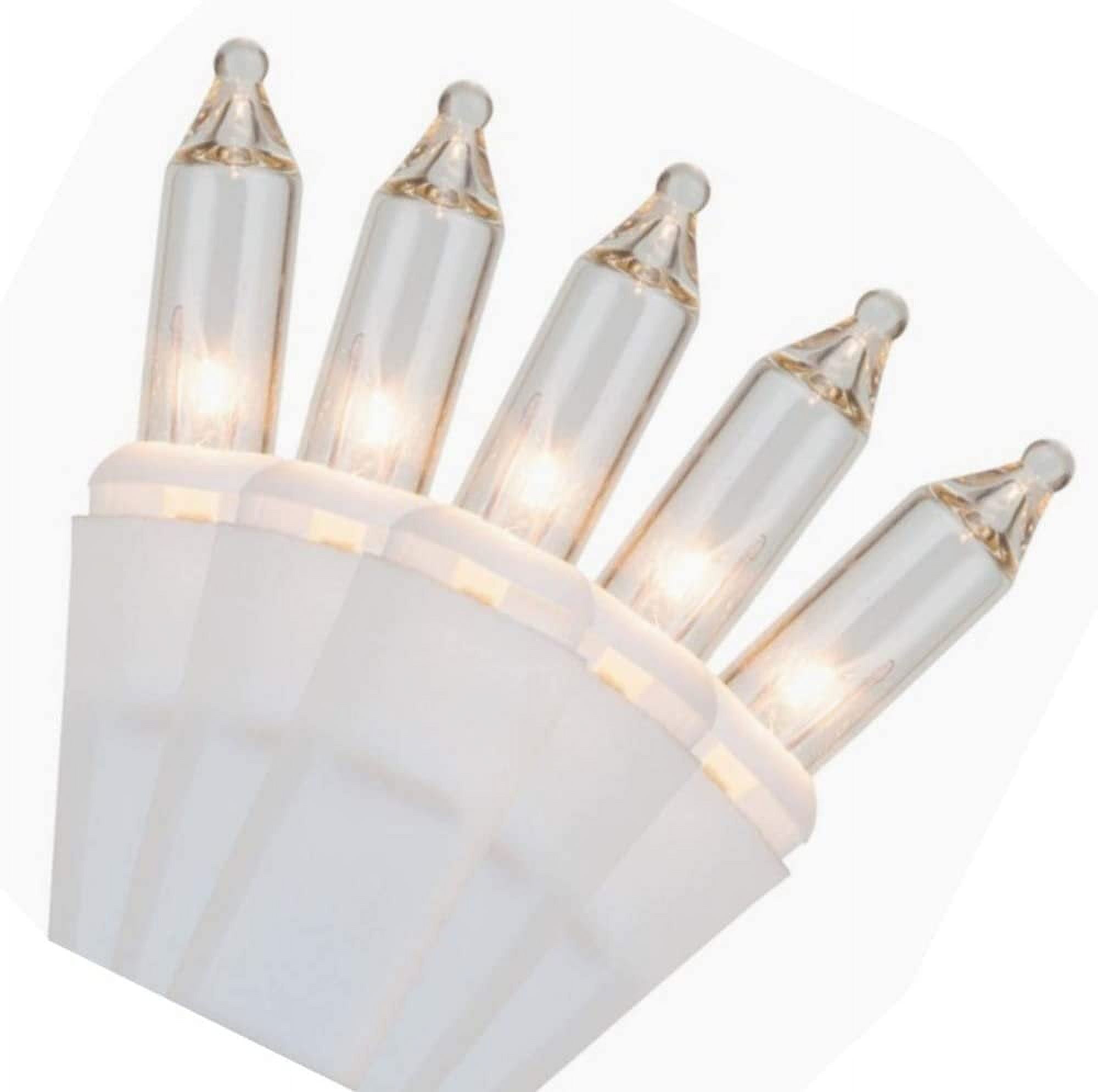 WinterWow Christmas Lights, 100 Bulb, 20 Ft White Wire, Mini Indoor ...