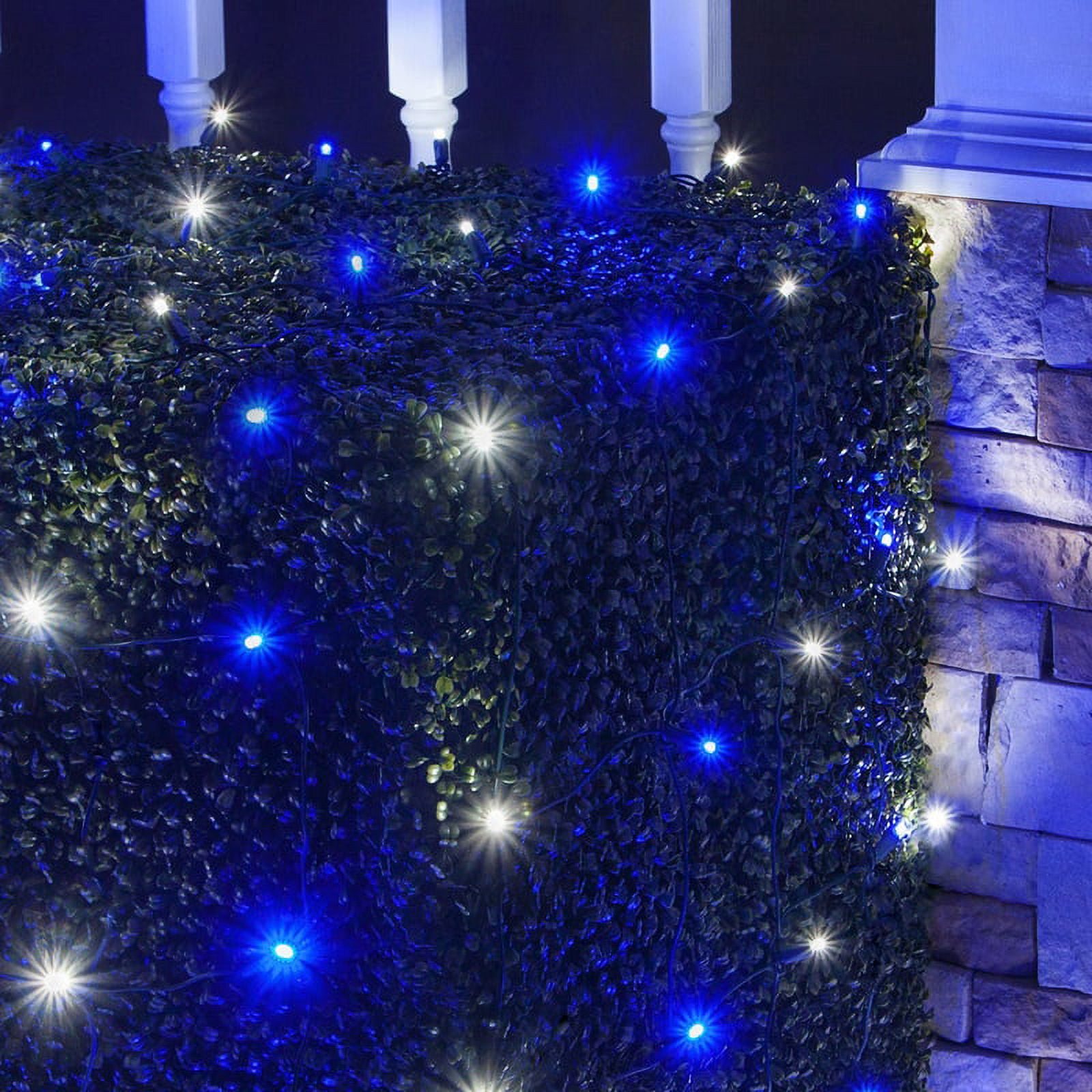 Wintergreen Lighting Holiday Blue & Cool White LED Net Lights, 100 5mm ...