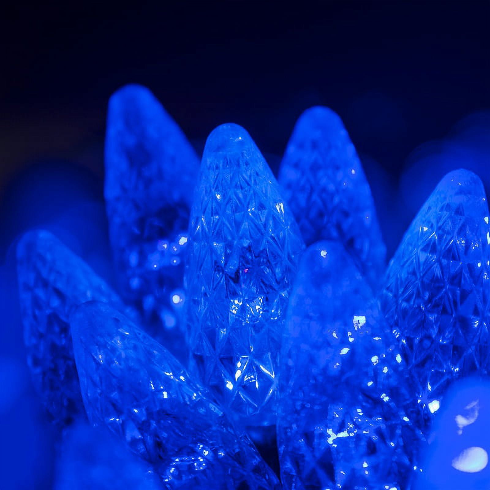 Wintergreen Lighting 70-Set C6 Blue LED Christmas Lights, 24 Ft Green ...