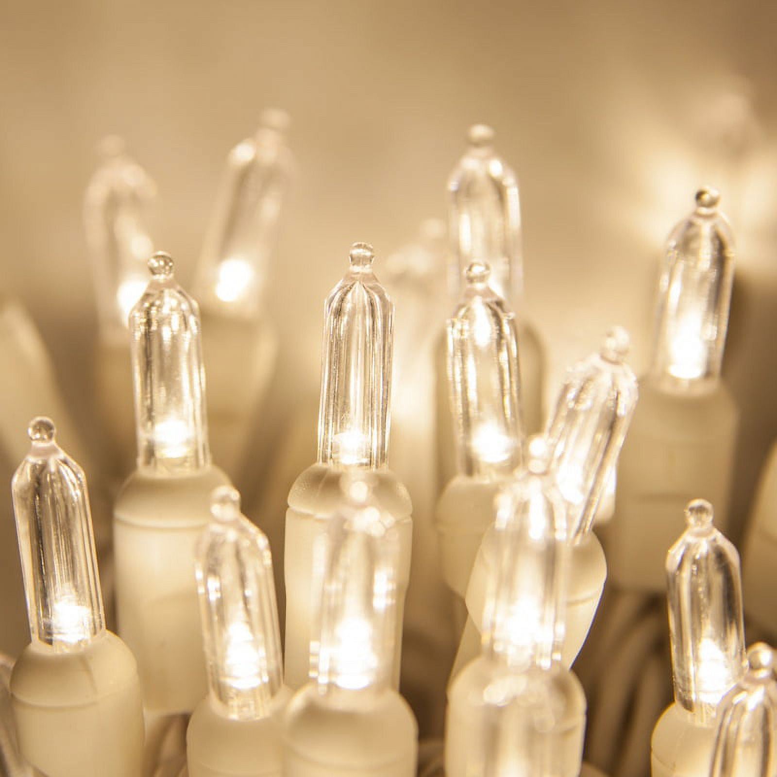 Wintergreen Lighting T5 LED White Mini Lights, Warm White, 50 Lights ...