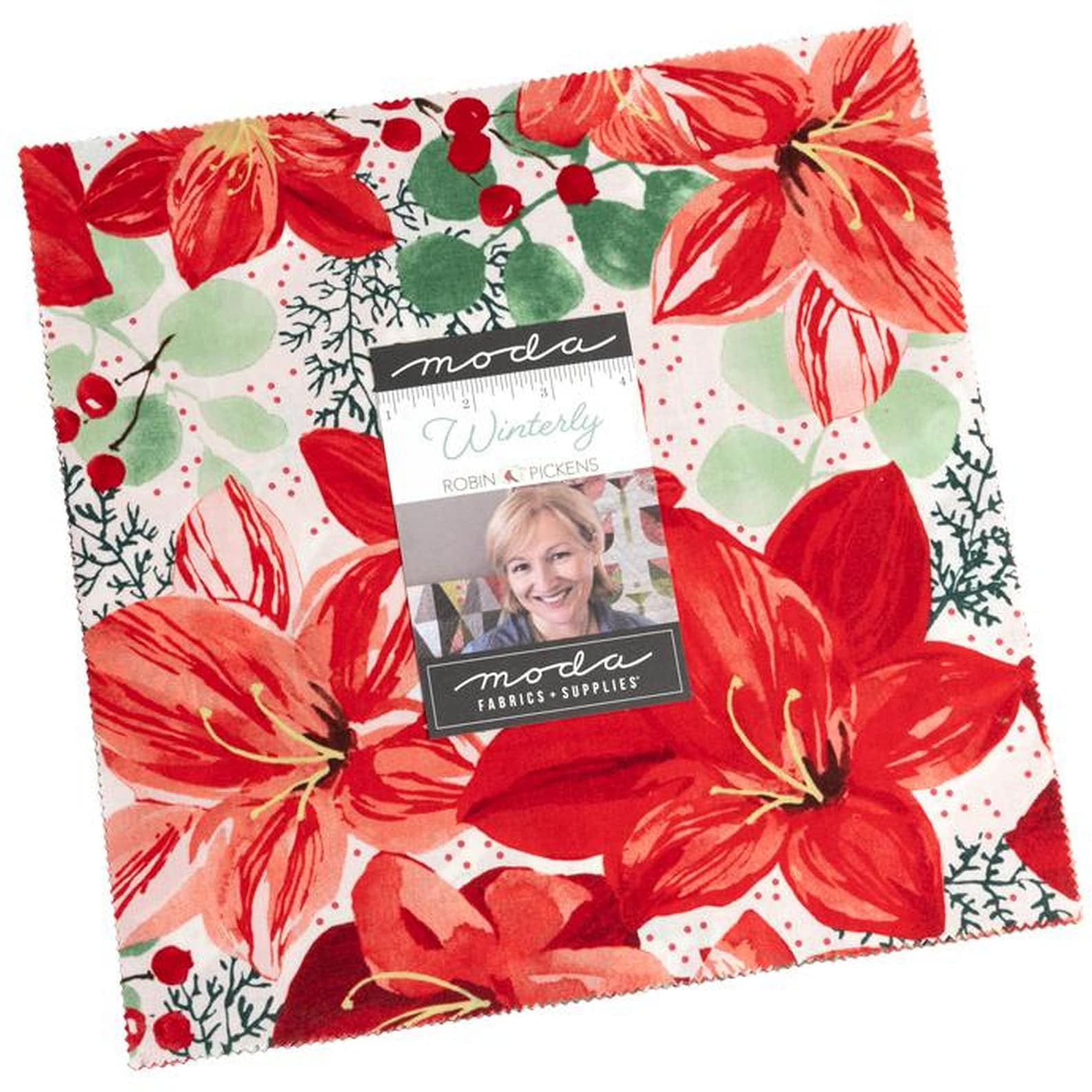 Winterly Layer Cake by Robin Pickens; 42 - 10" Precut Fabric Quilt ...