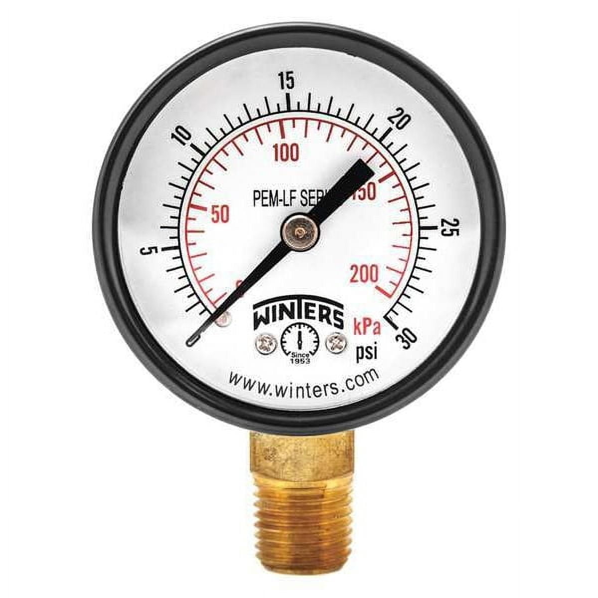 Winter Pressure Gauge