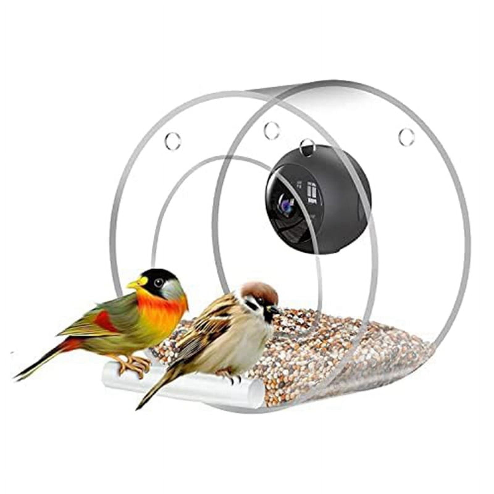 Winyuyby Bird Feeder with Bird Watching Camera, Smart Bird Feeder ...