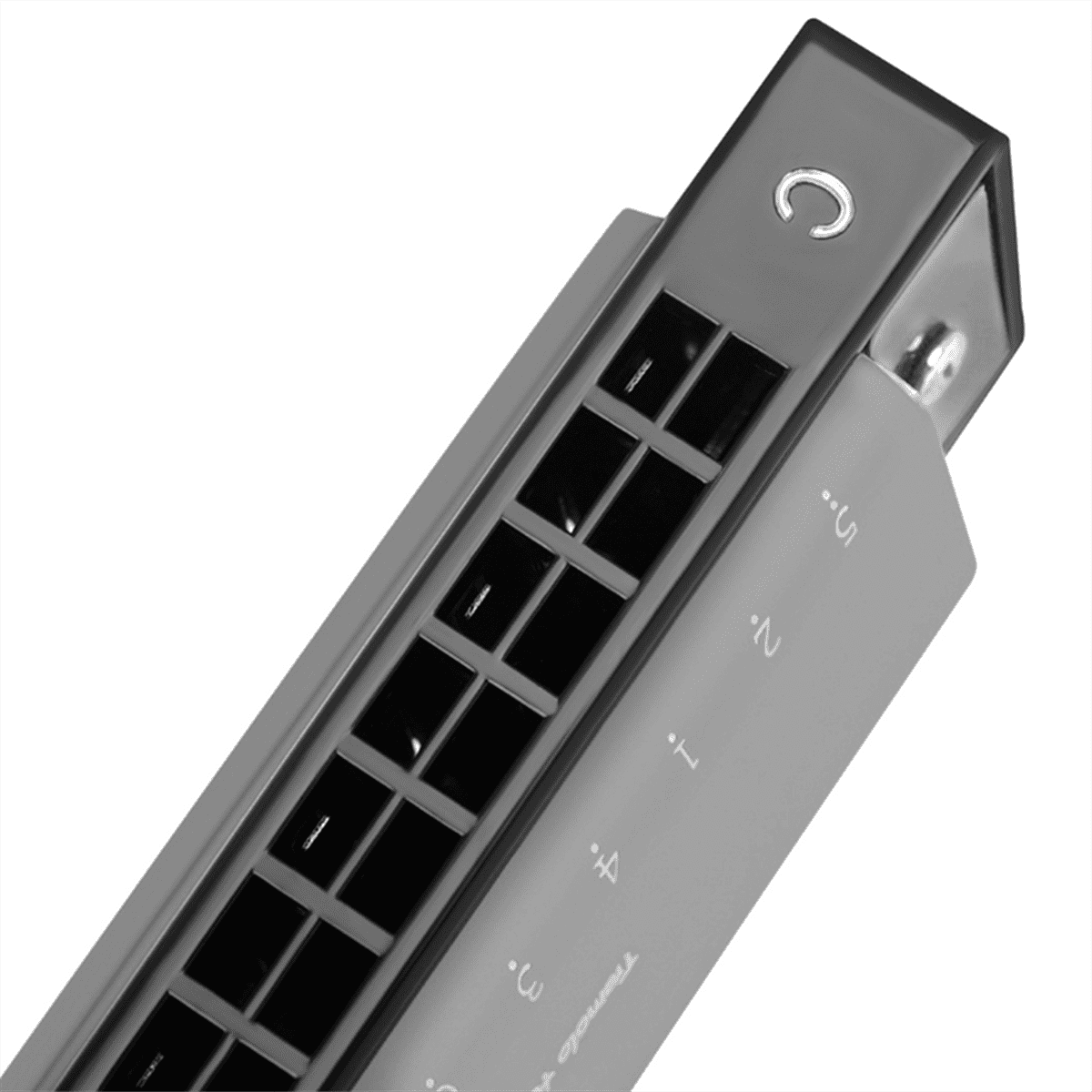 Winyuyby Professional 24 Holes C Key Harmonica for Beginners Kids ...