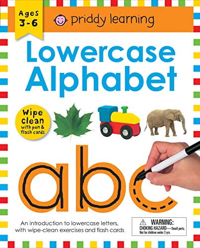 Pre-Owned Wipe Clean Workbook: Lowercase Alphabet (Enclosed Spiral ...