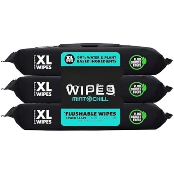 Wipes Flushable Wipes - 3 , 144 Count - Mint Chill Extra-Large with ...