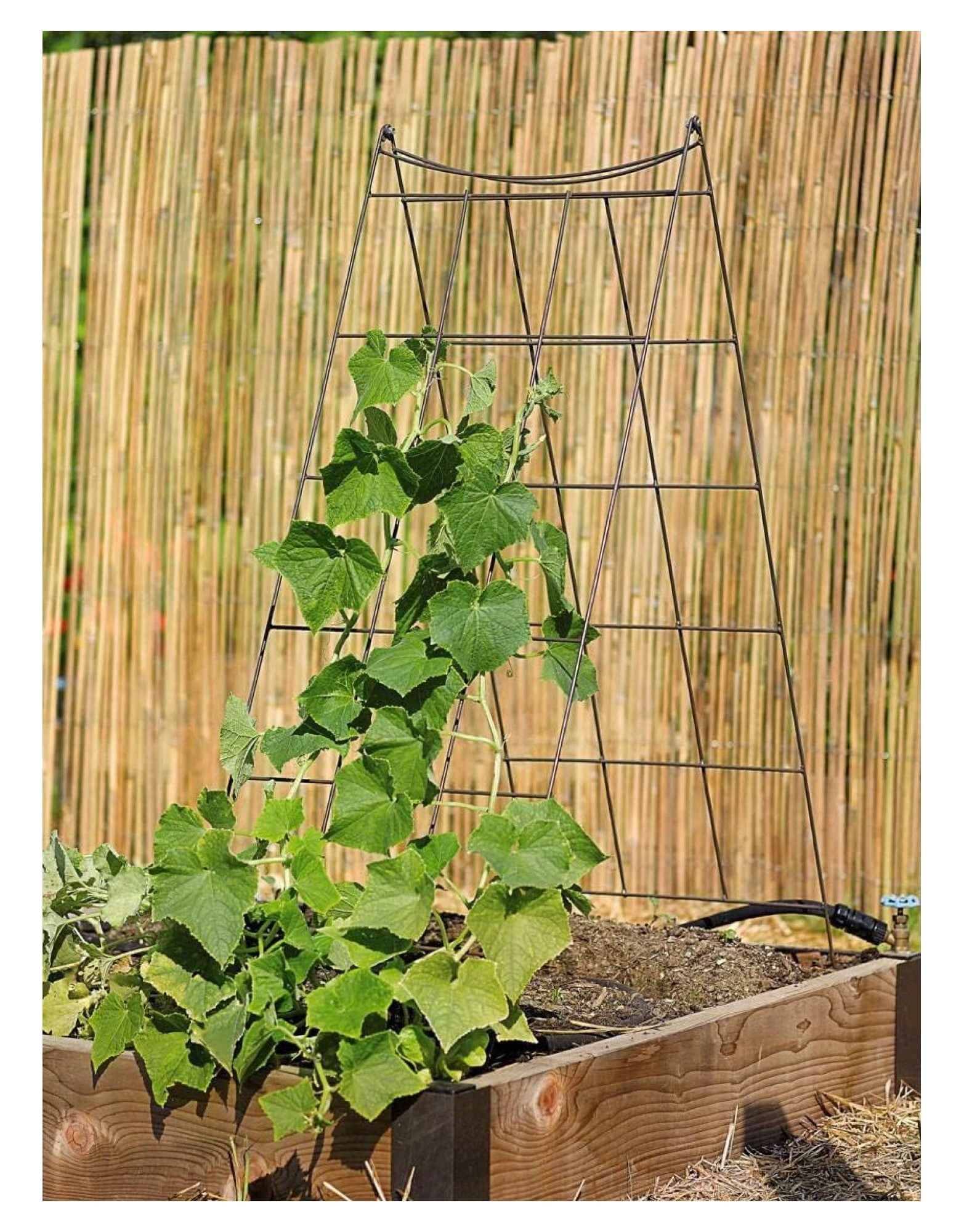 Wire A-Frame Trellis | Strong and Sturdy Metal Outdoor Garden Trellis ...