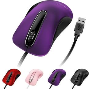 Computer Mouse Animal