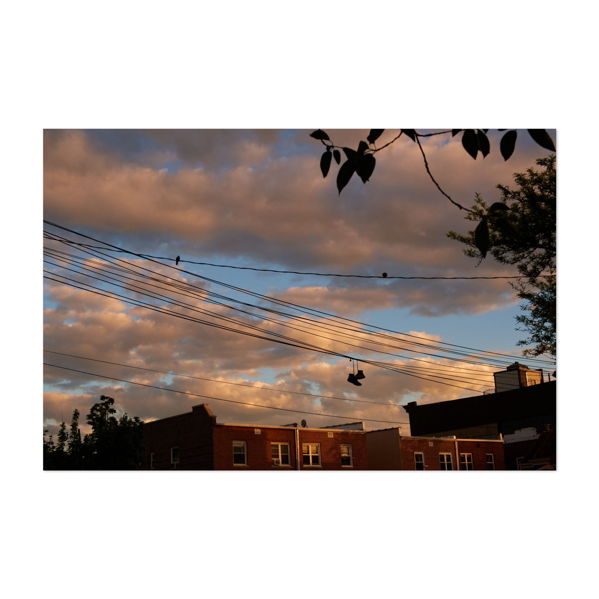 Wired Shoes - Queens New York Photography Unframed Wall Art Print 20 x ...