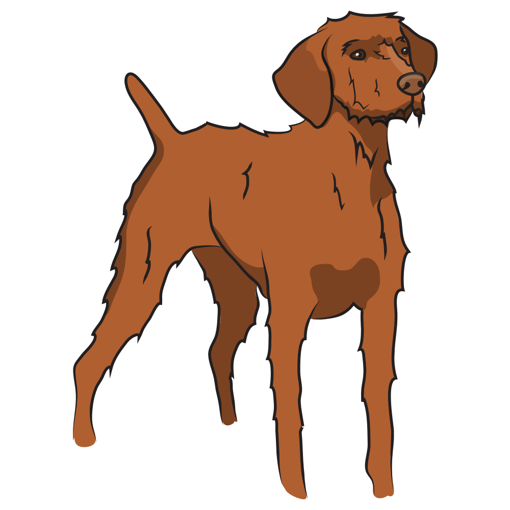 Wirehaired Vizsla Decal | Indoor/Outdoor | Dog Lover Super Cute Sticker ...