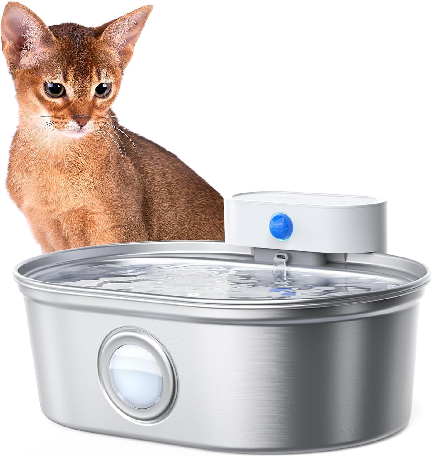 Wireless Cat Water Fountain Stainless Steel Pro, External Pump Battery ...
