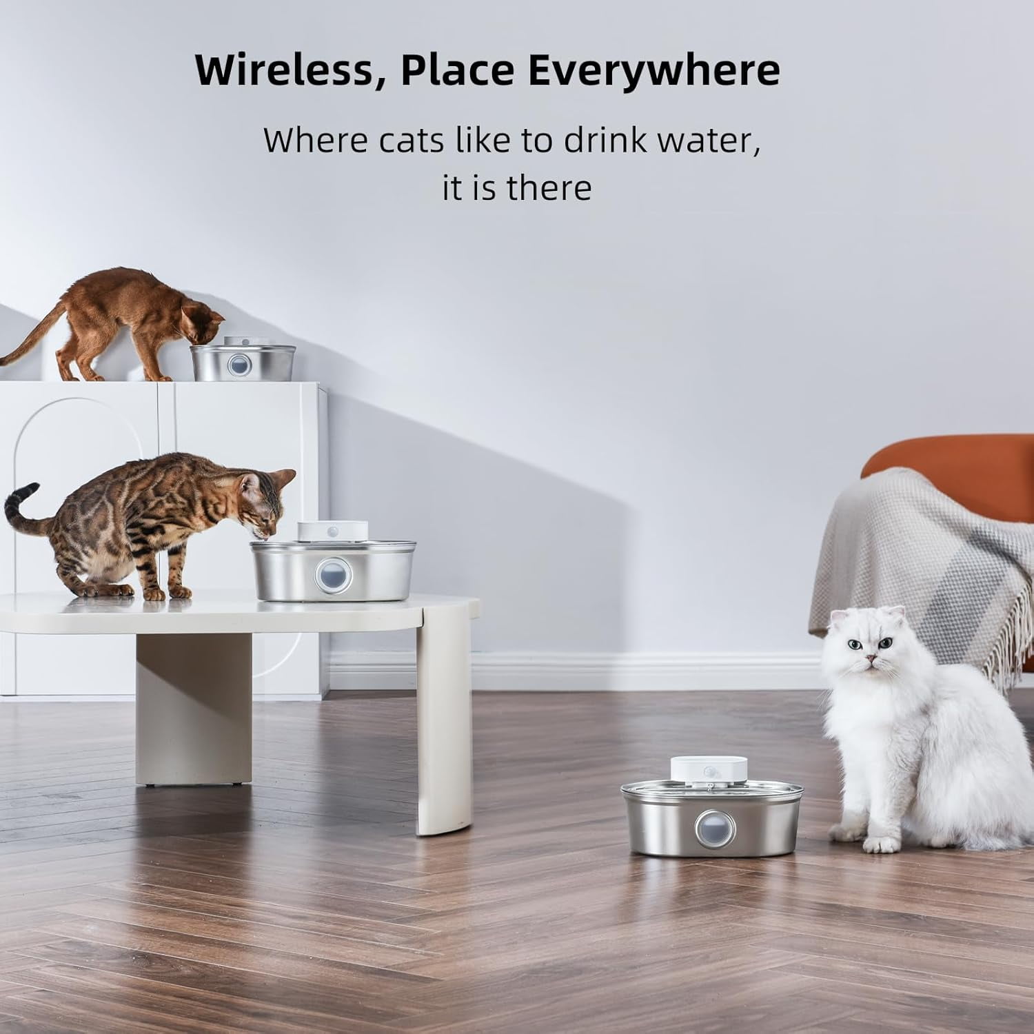 Wireless Cat Water Fountain Stainless Steel Pro, External Pump Battery ...