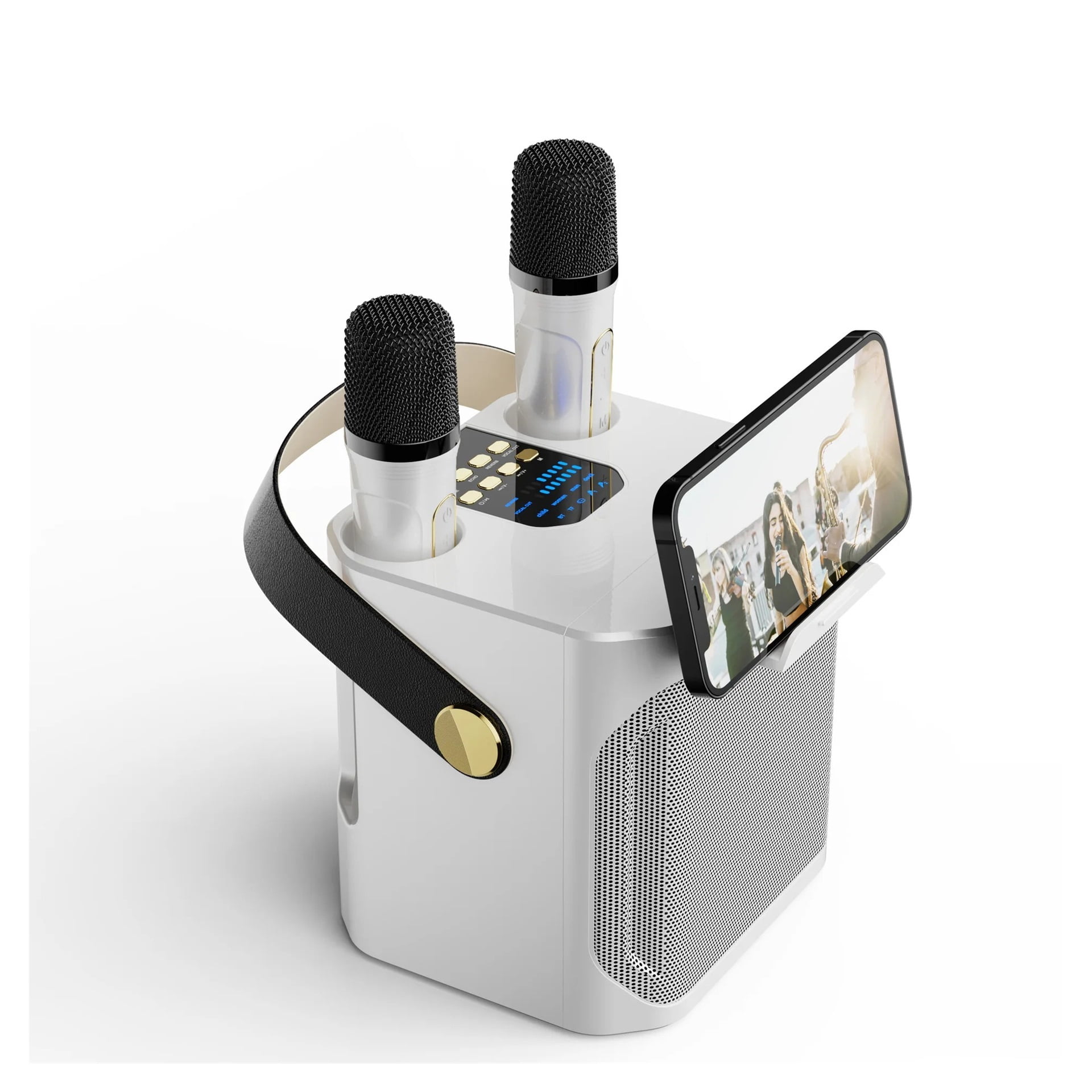 Wireless Dual Microphone Professional Handheld Speaker 360 Stereo ...