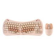 Spot Butterfly Computer Keyboards Mice