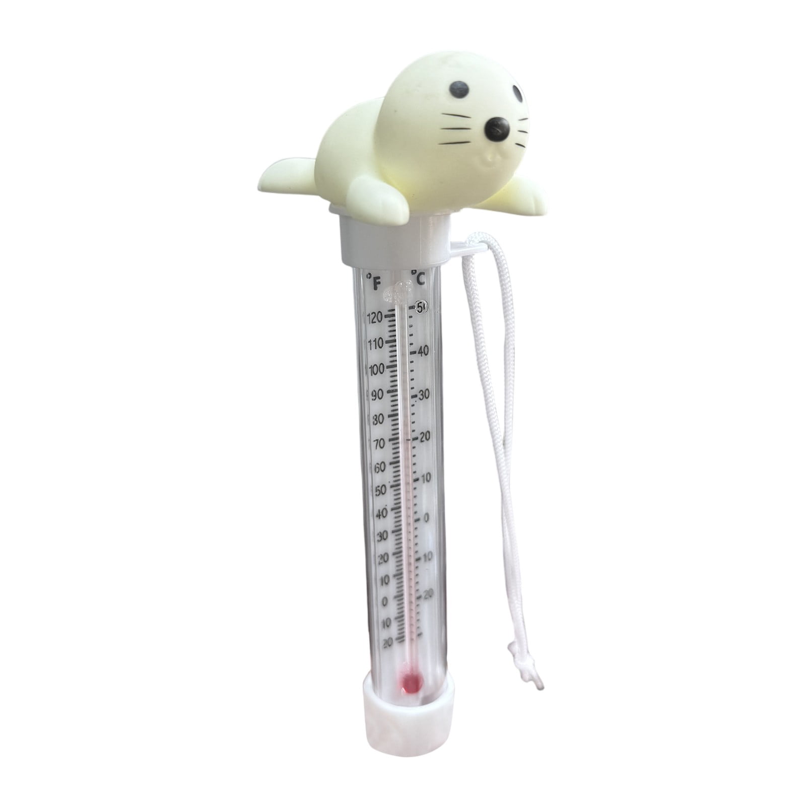 Wireless Floating Pool Thermometer, Pool Toys Games Set Cute Floating ...